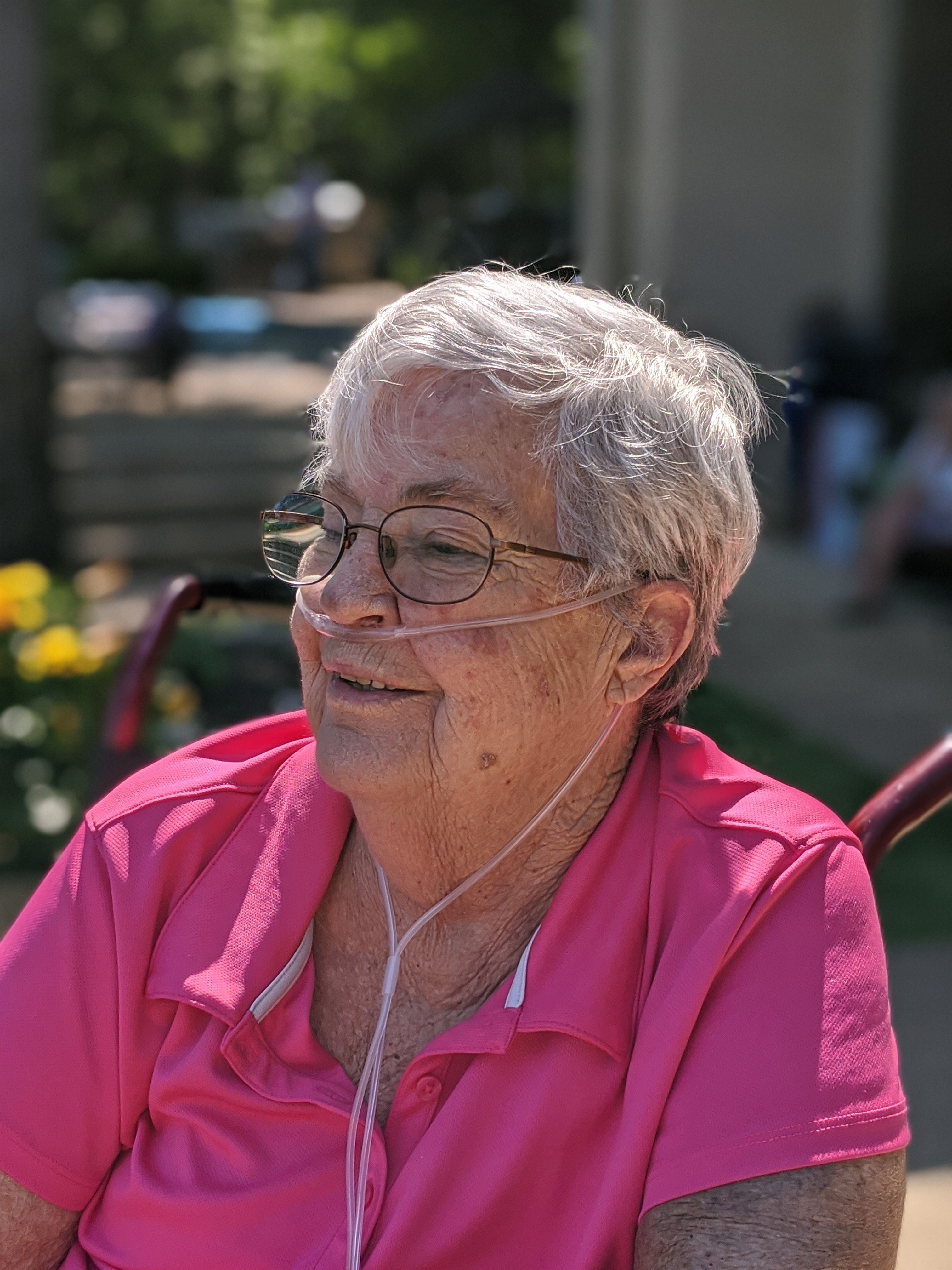 Anne B. Steen - St Louis Cremation