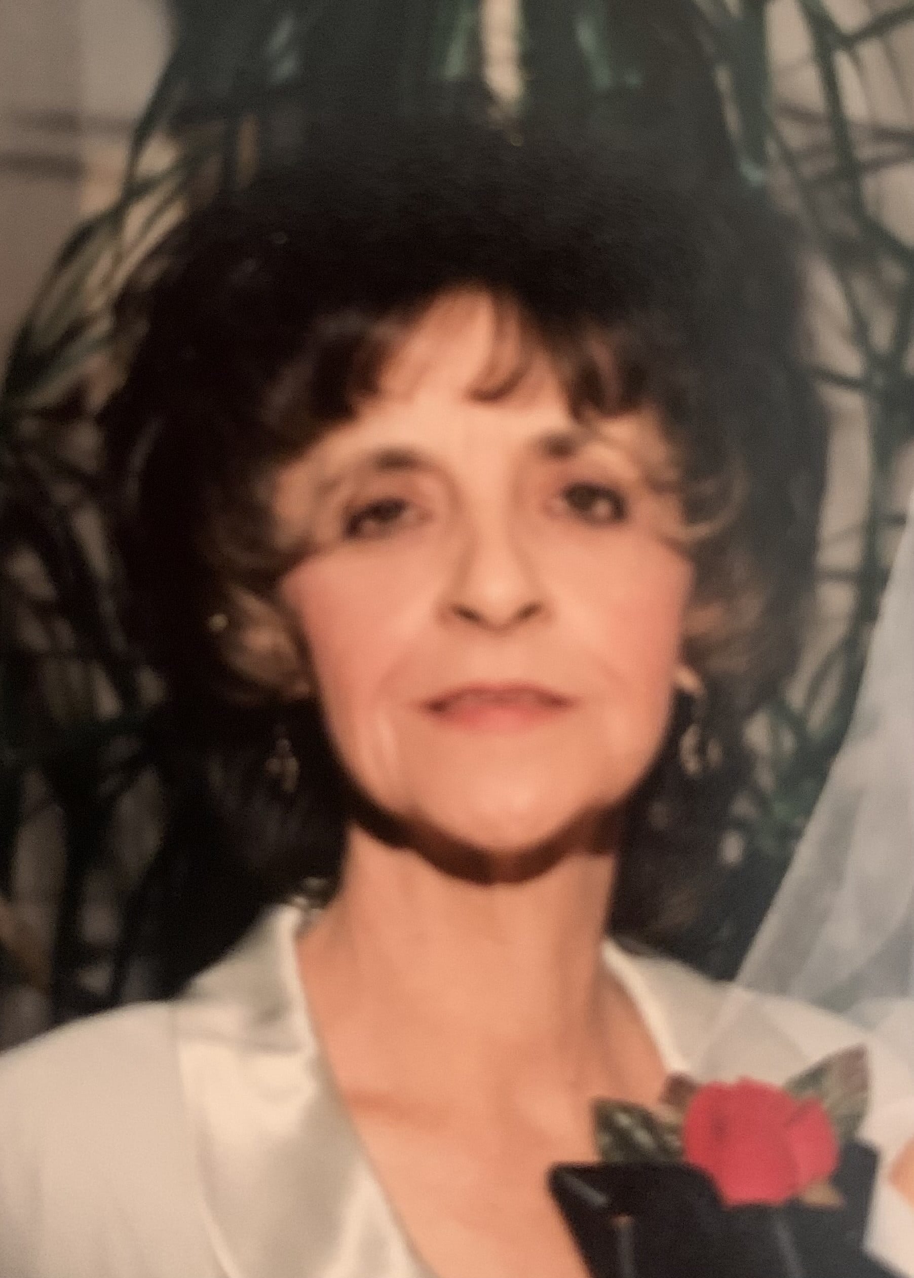 Wanda Lee Lesslie - St Louis Cremation